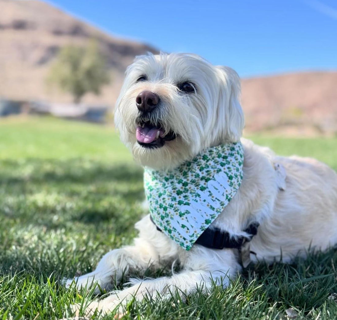 Crafts by Maggie D – Crafts by Maggie D, LLC